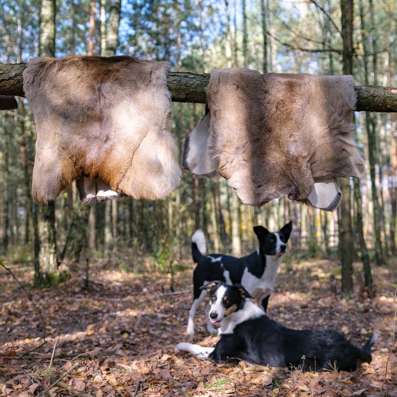 Deer Hide - Etsy