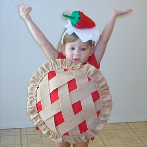 Adult Halloween Costume Pie Costume for Halloween Food Costume Group ...