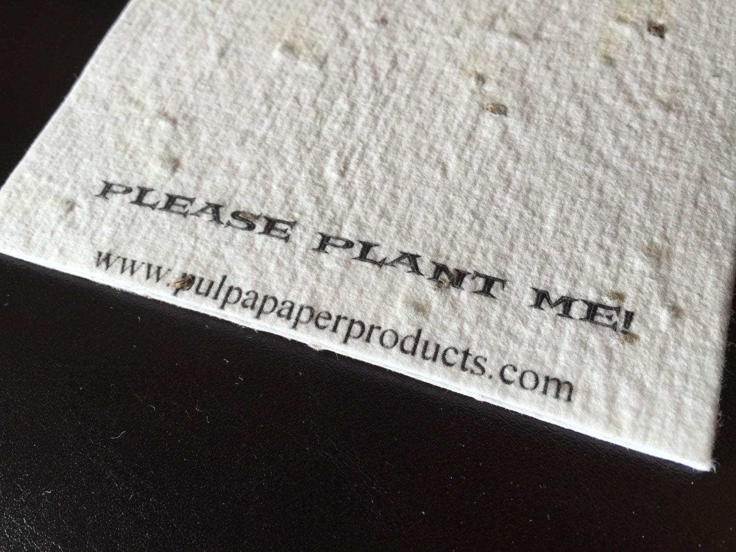 Basil Seeded Card - Plant Me! - Etsy