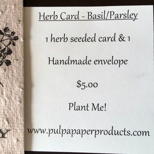 Parsley Seeded Handmade Paper Card - Plant Me! - Etsy