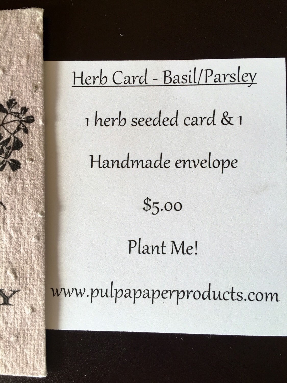 Parsley Seeded Handmade Paper Card - Plant Me! - Etsy