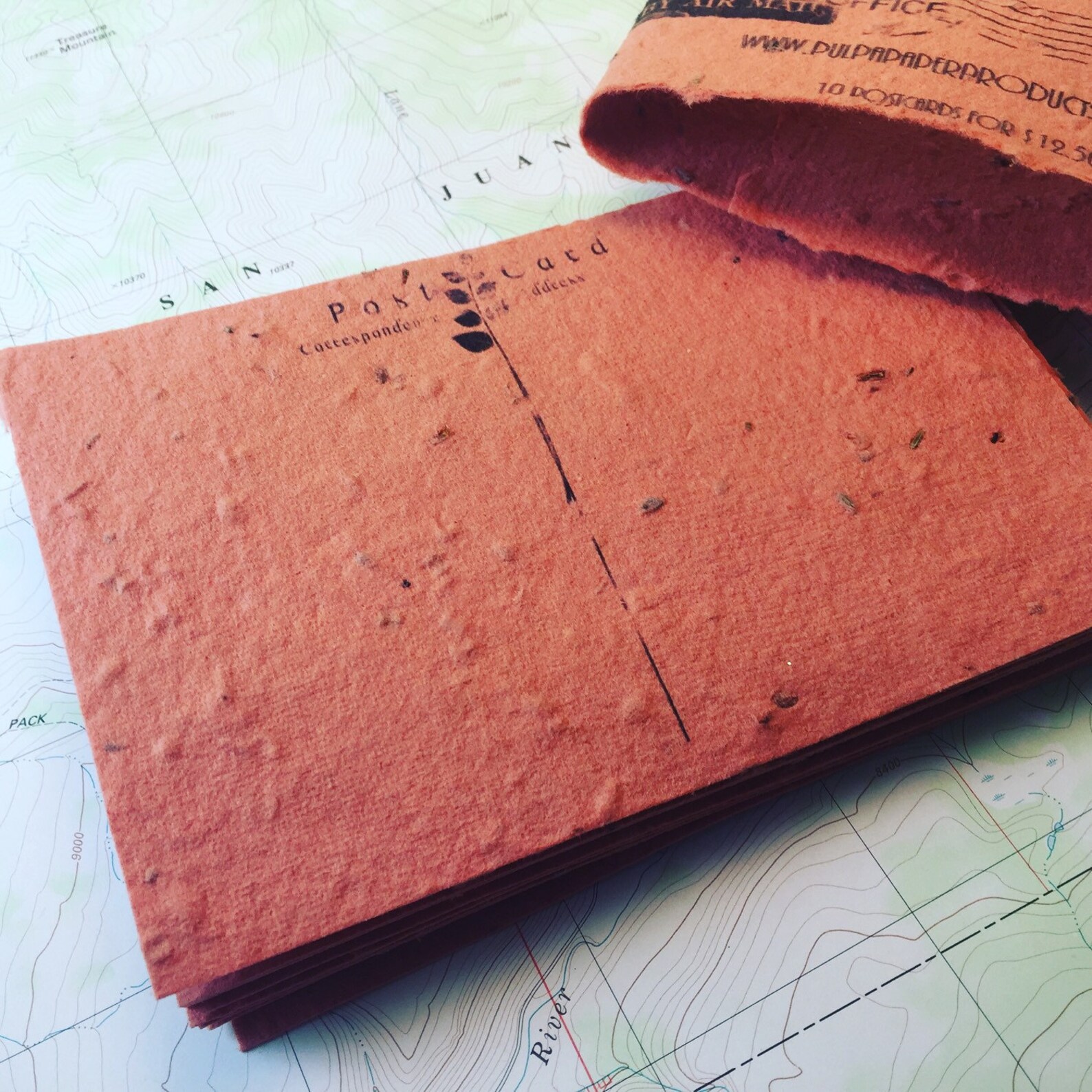 Wildflower Seeded Plantable Postcards Set of 10 - Etsy