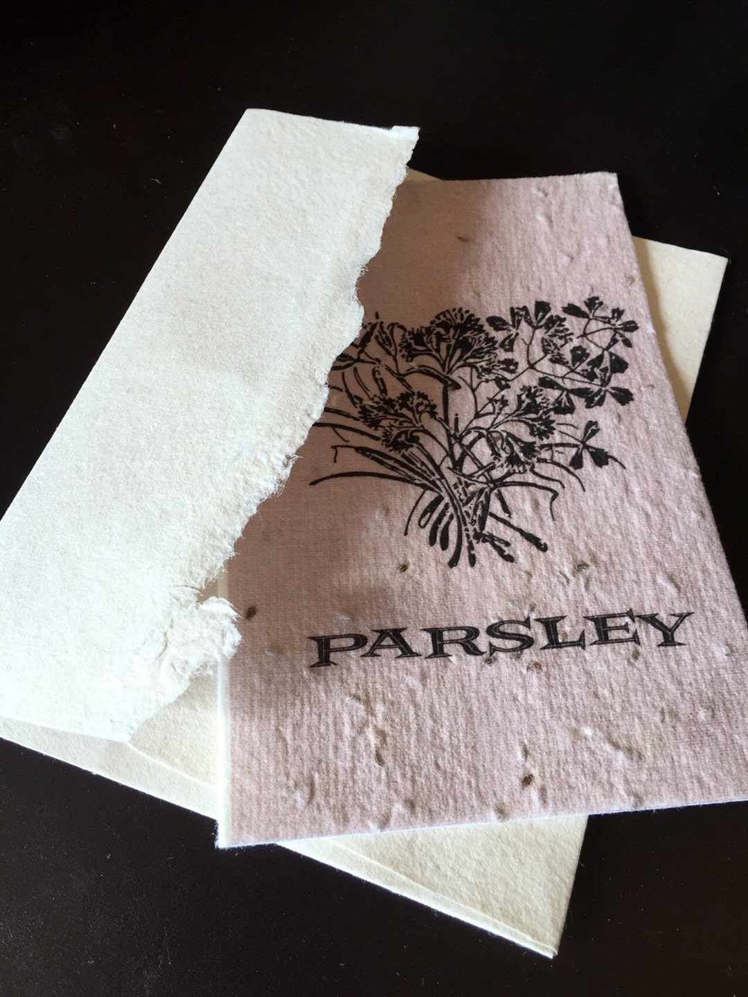 Parsley Seeded Handmade Paper Card - Plant Me! - Etsy