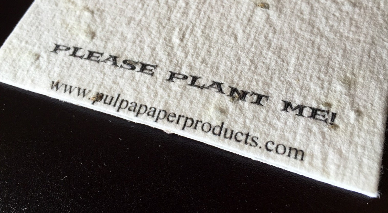 Parsley Seeded Handmade Paper Card Plant Me - Etsy