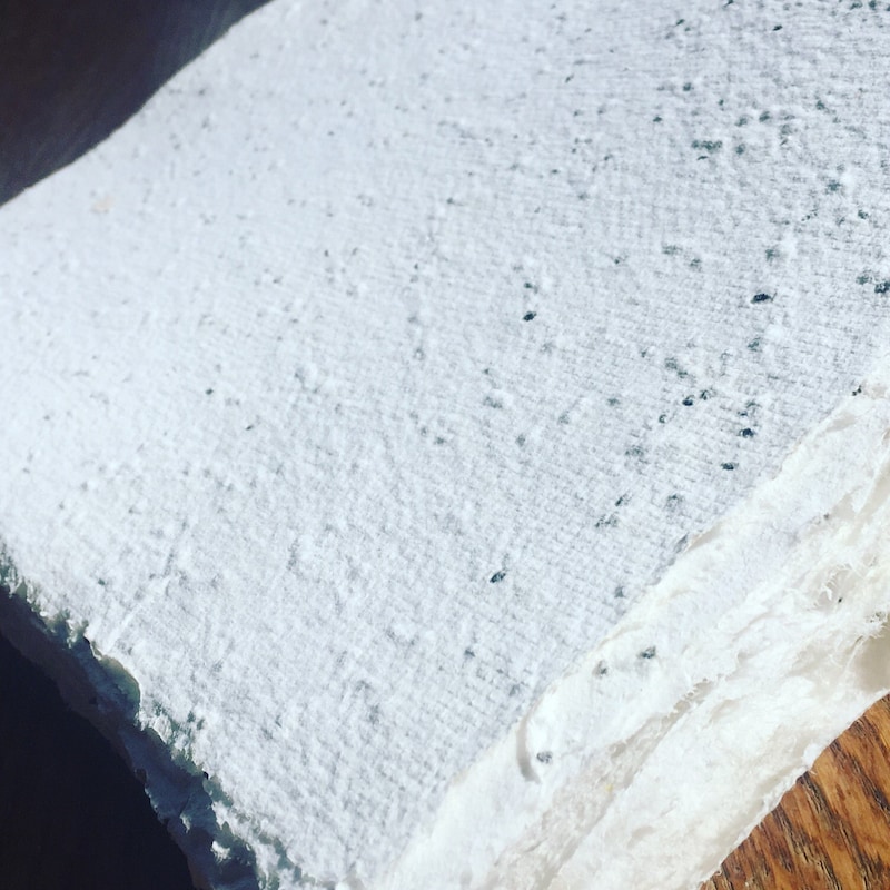 Seeded Paper - Etsy