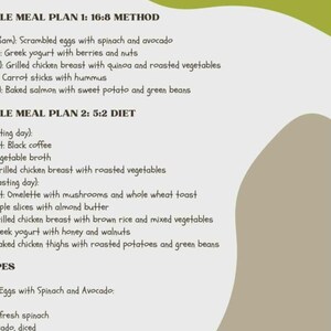 Intermittent Fasting Guide Weight Loss Beginner Guide Diet Guide ...