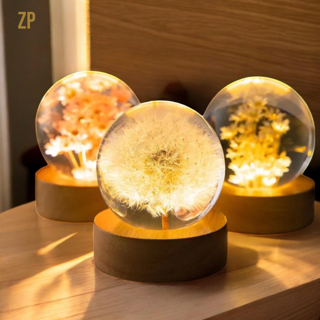 White Daisy Resin Ball Flower Night Lamp Gift for Her Preserved Flower ...