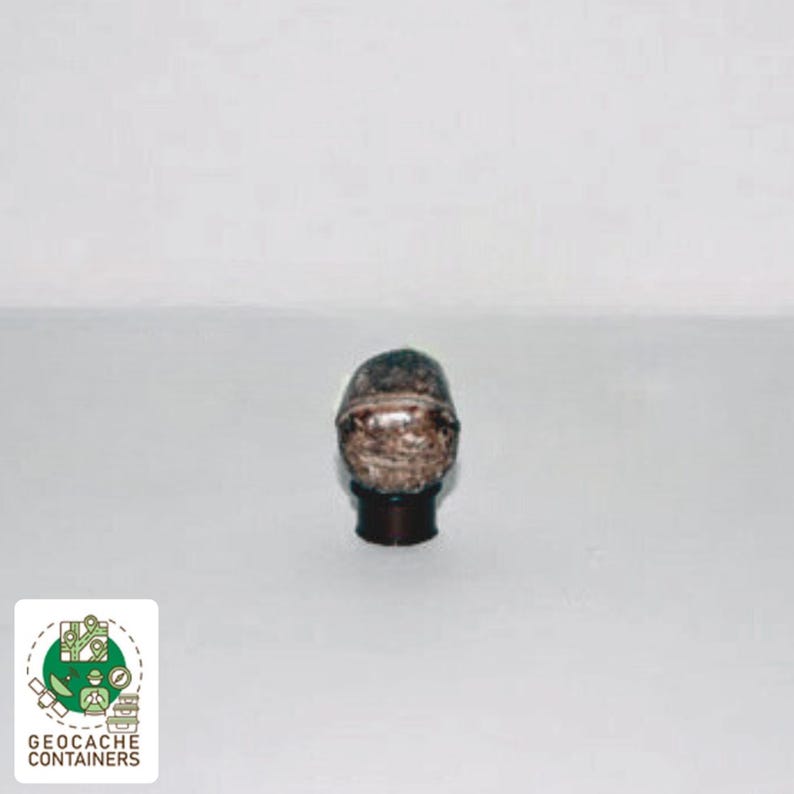 Nano Skull Neck Geocache Container - Etsy