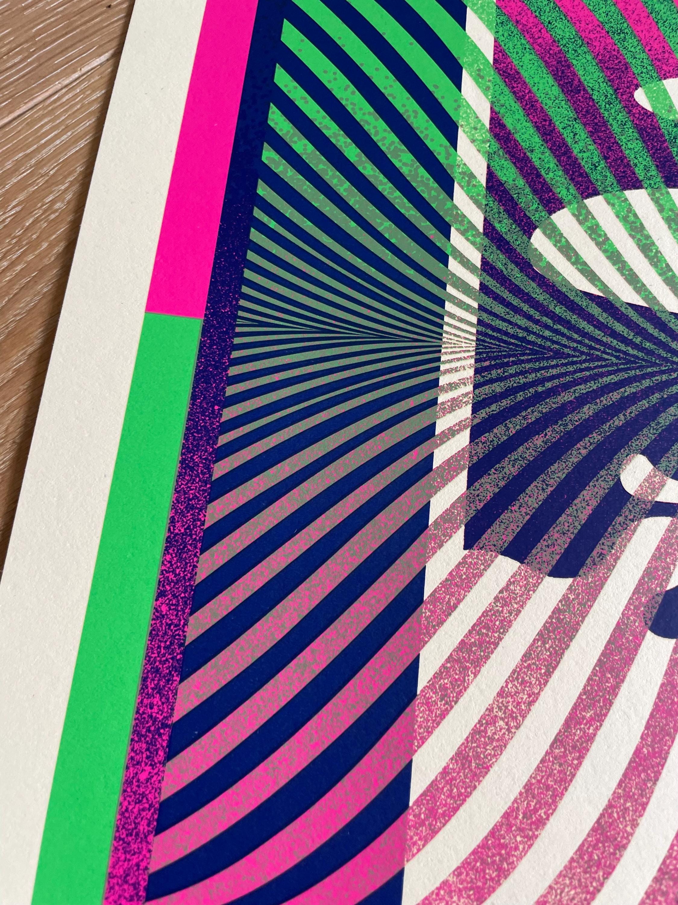 Orginal Shepard Fairey (OBEY), Op-art Icon, Hand Signed and Numbered by ...
