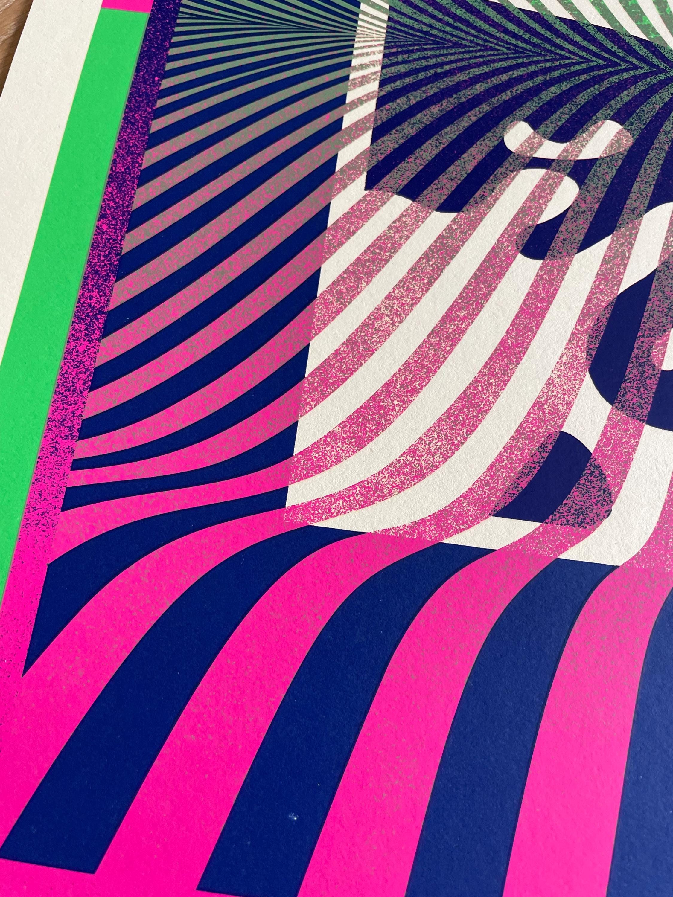 Orginal Shepard Fairey (OBEY), Op-art Icon, Hand Signed and Numbered by ...