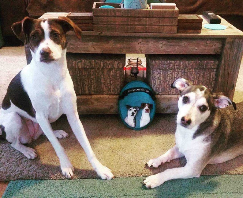 Custom Dog Portrait Custom Pet Portrait Personalized Pet - Etsy