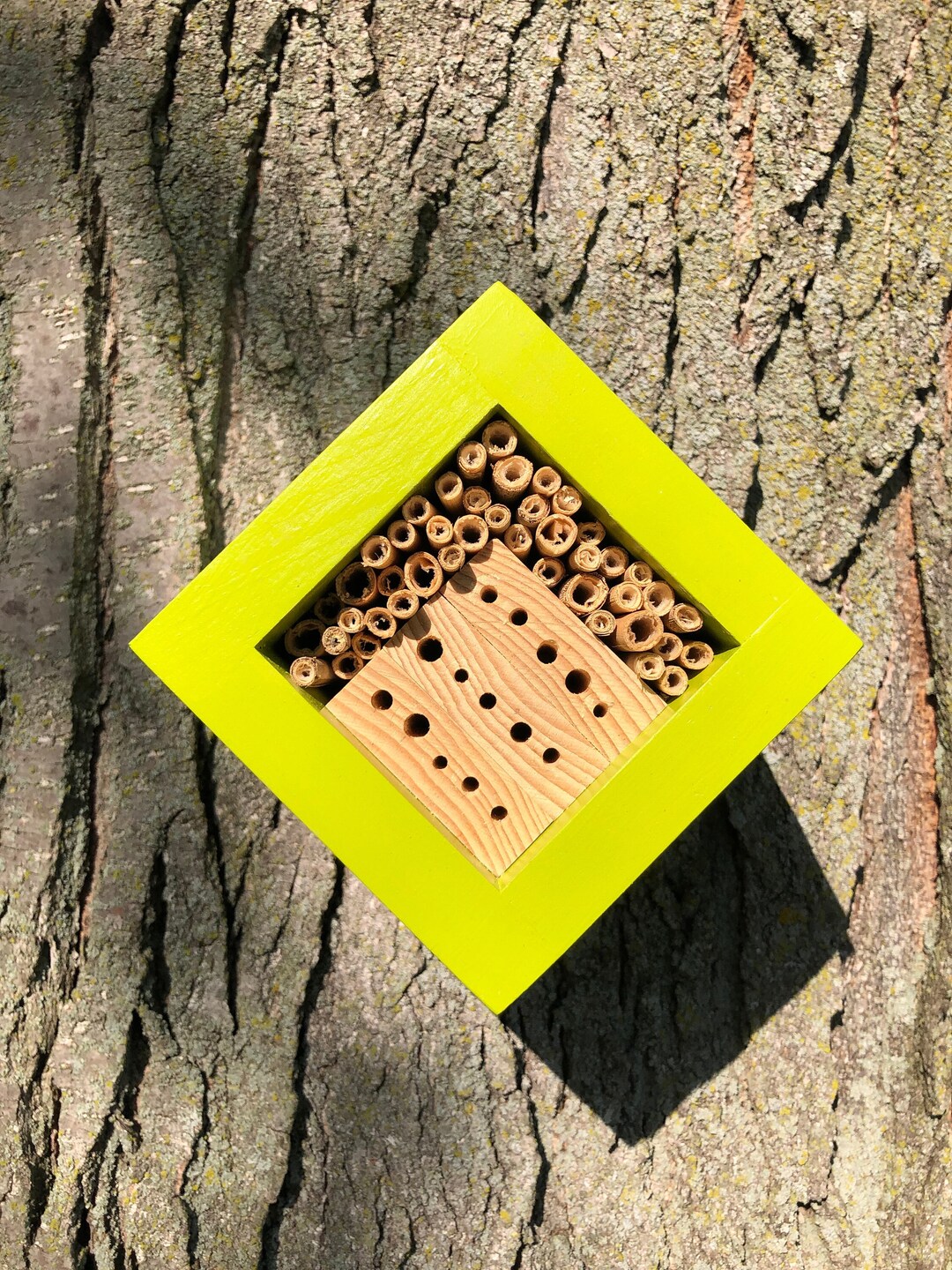 Handmade Native Bee Pollinator House - Etsy