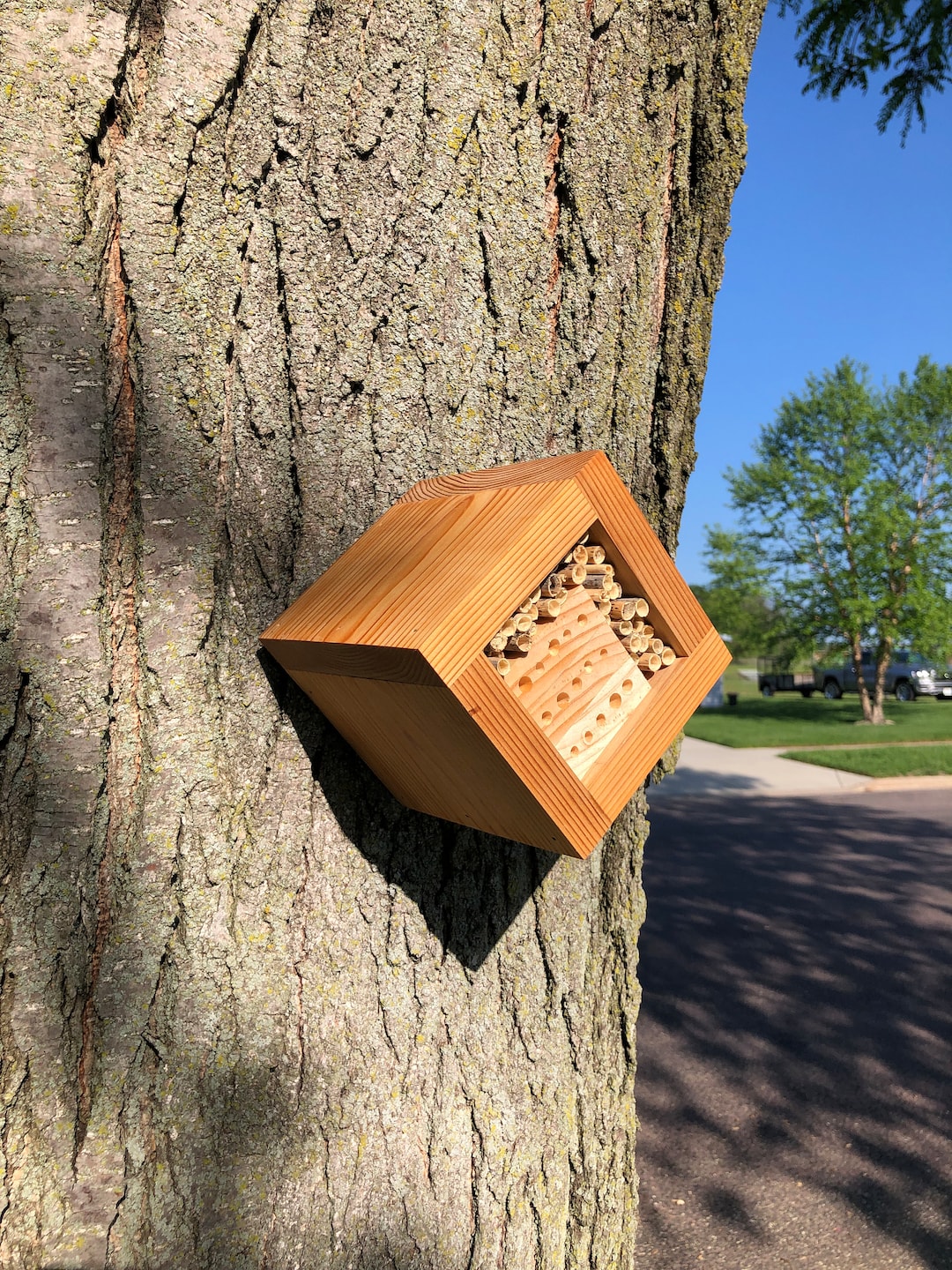 Handmade Cedar Native Bee Pollinator House - Etsy