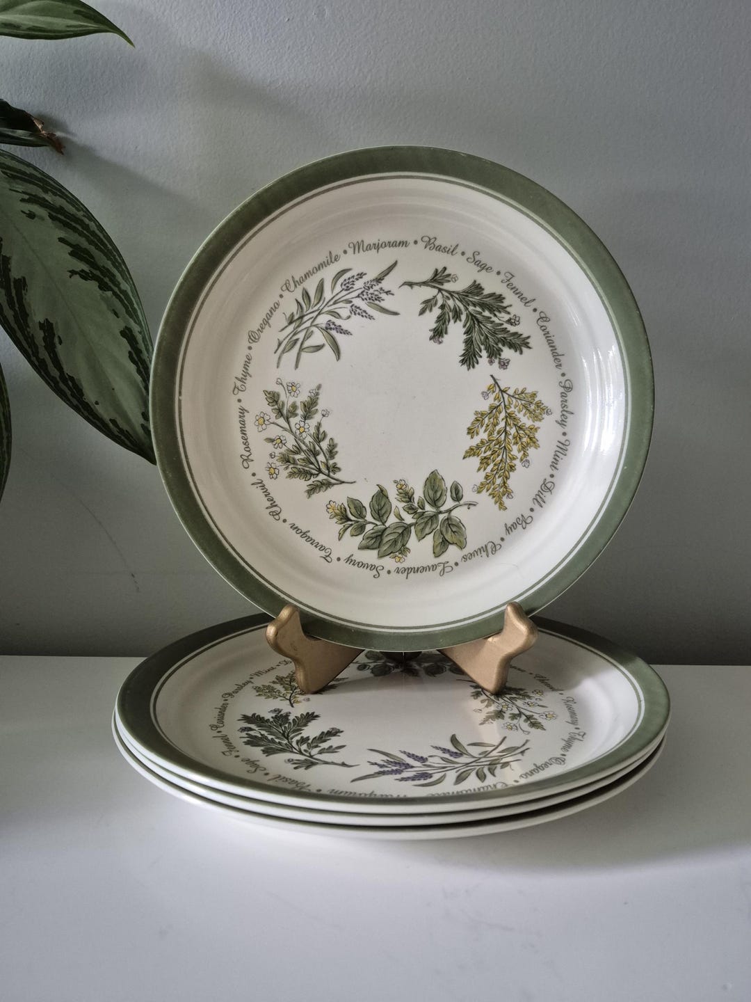 Set of 4 Corelle Thymeless Herbs Dinner Plates - Etsy