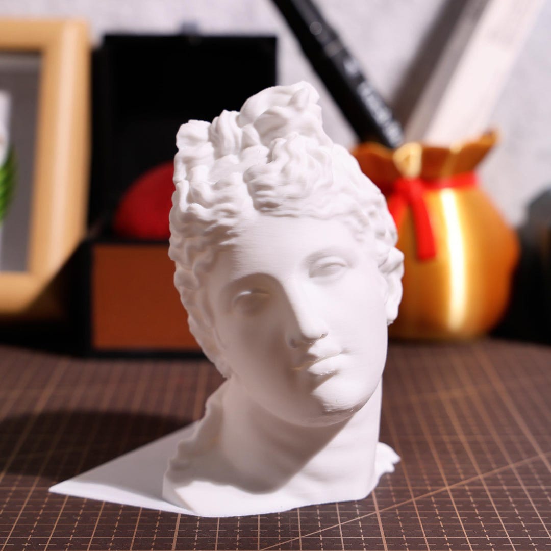Venus and David Sculpture 3D Printed Ornament Museum Quality Replica ...