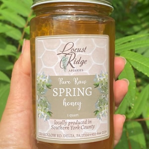 Pure Raw Local Honey With the Comb / Natural Fresh Honey / Spring Honey ...