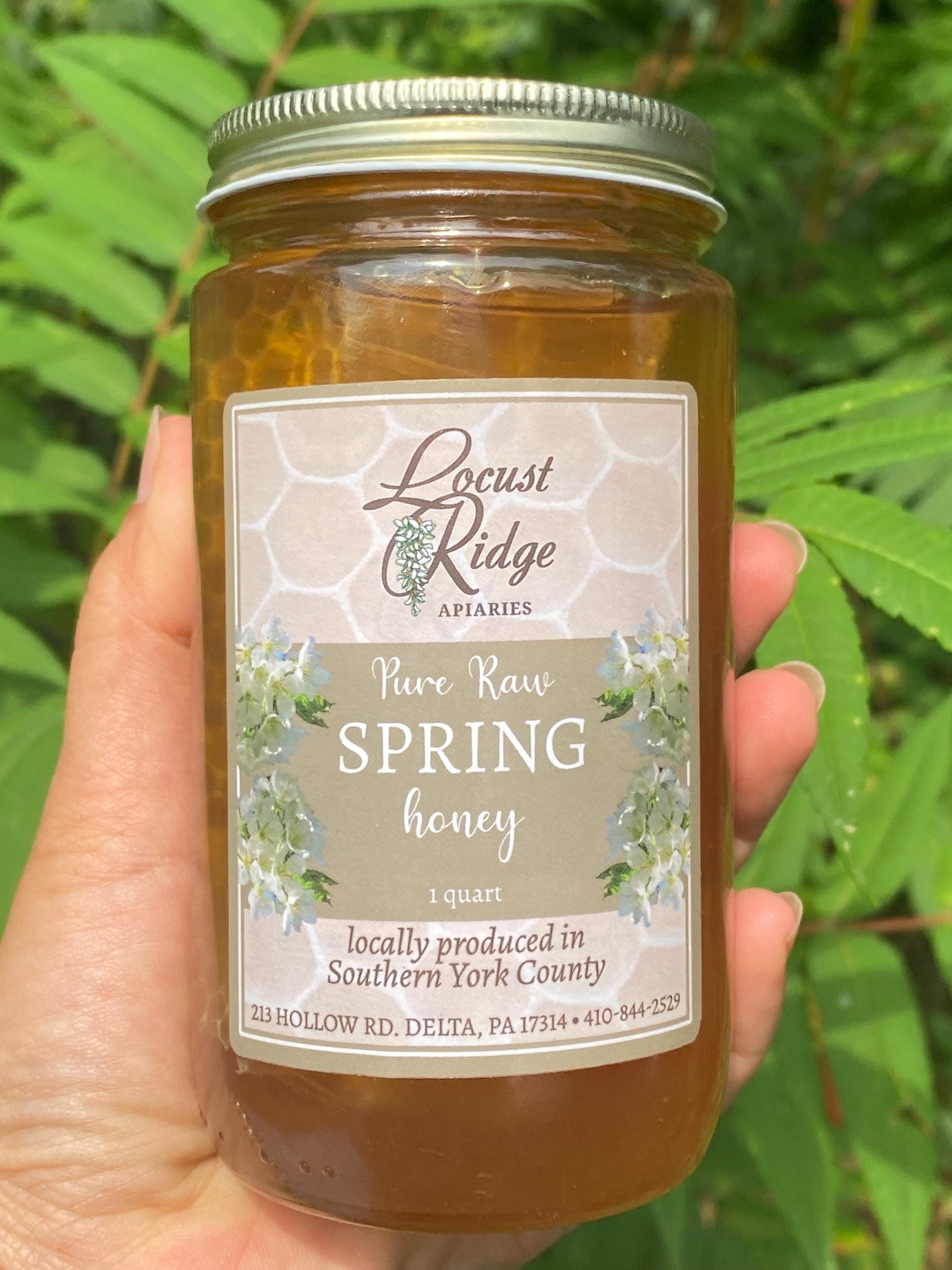 Pure Raw Local Honey With the Comb / Natural Fresh Honey / Spring Honey ...