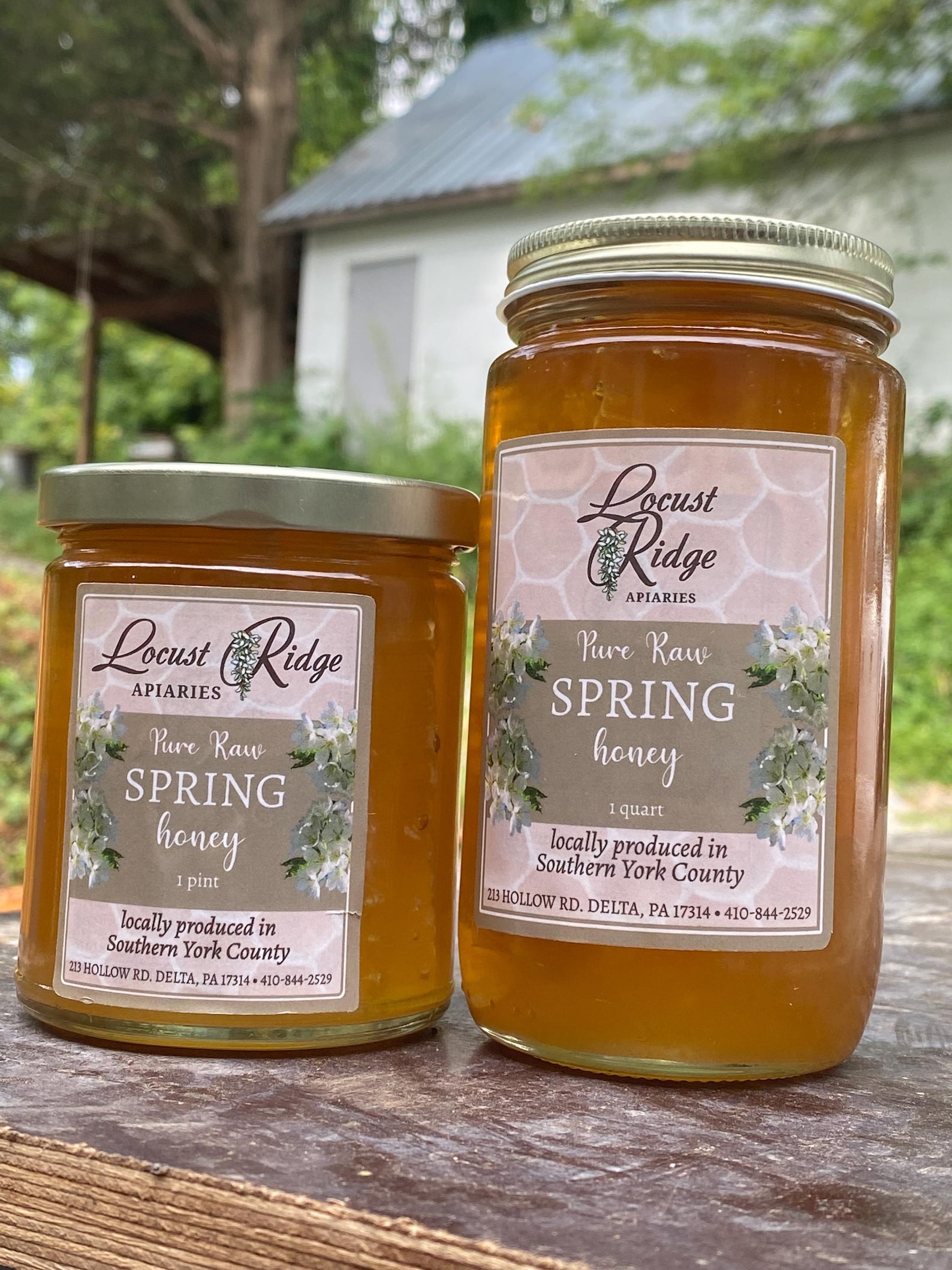 Pure Raw Local Honey With the Comb / Natural Fresh Honey / Spring Honey ...