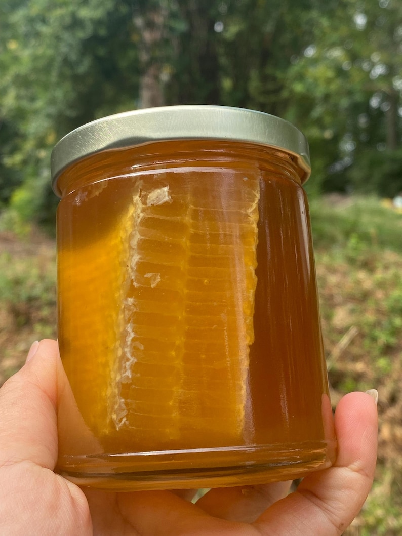 Pure Raw Local Honey With the Comb / Natural Fresh Honey / Spring Honey ...