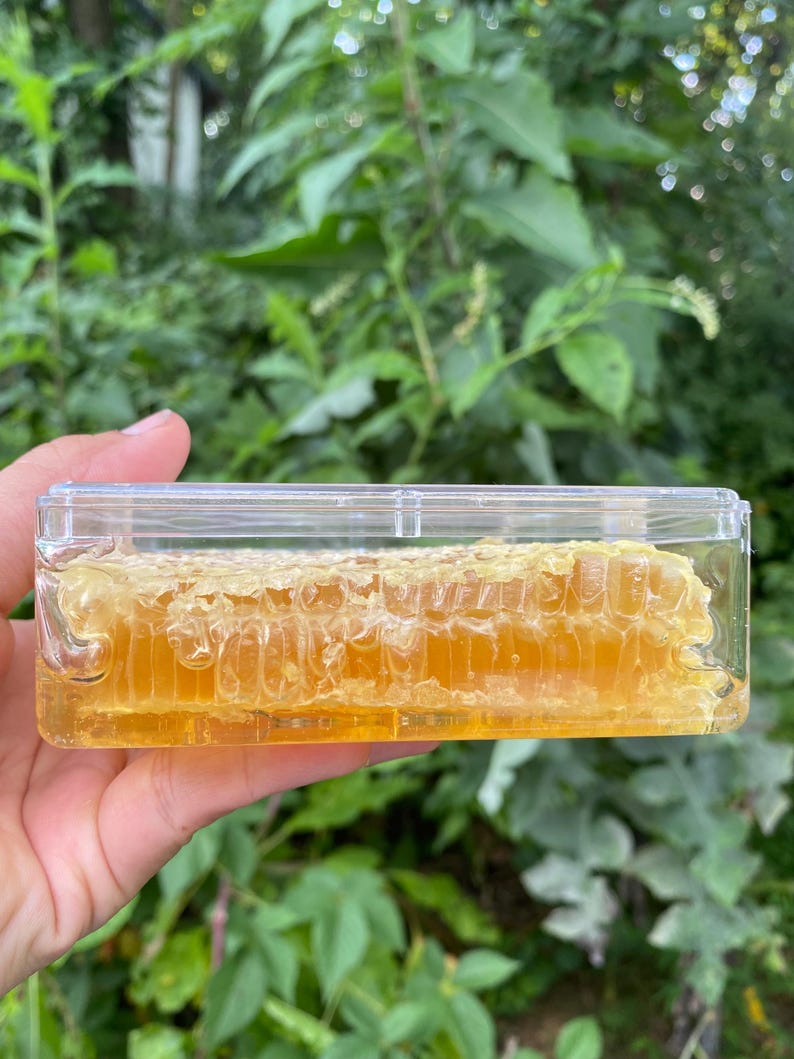 Pure Raw Natural Comb Honey / Directly From the Hives - Etsy
