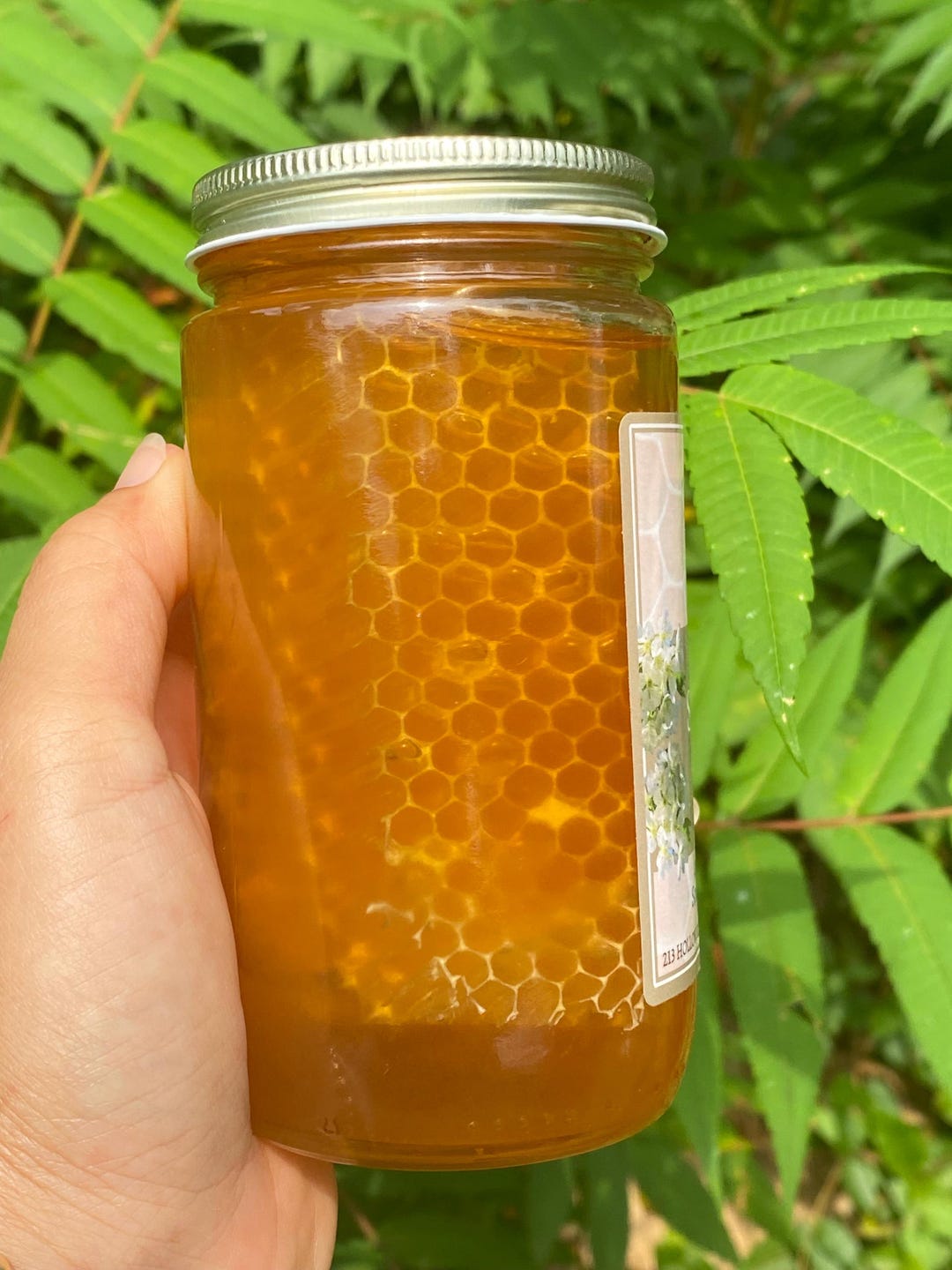 Pure Raw Local Honey With the Comb / Natural Fresh Honey / Spring Honey ...