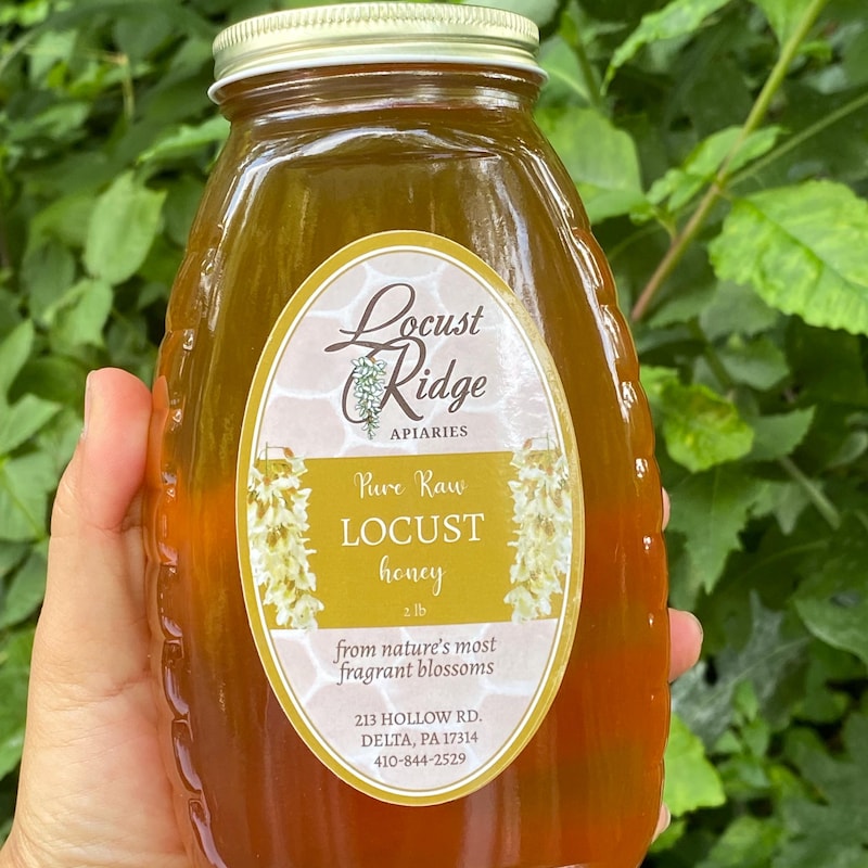 Okinawa Honey From Japan - Etsy