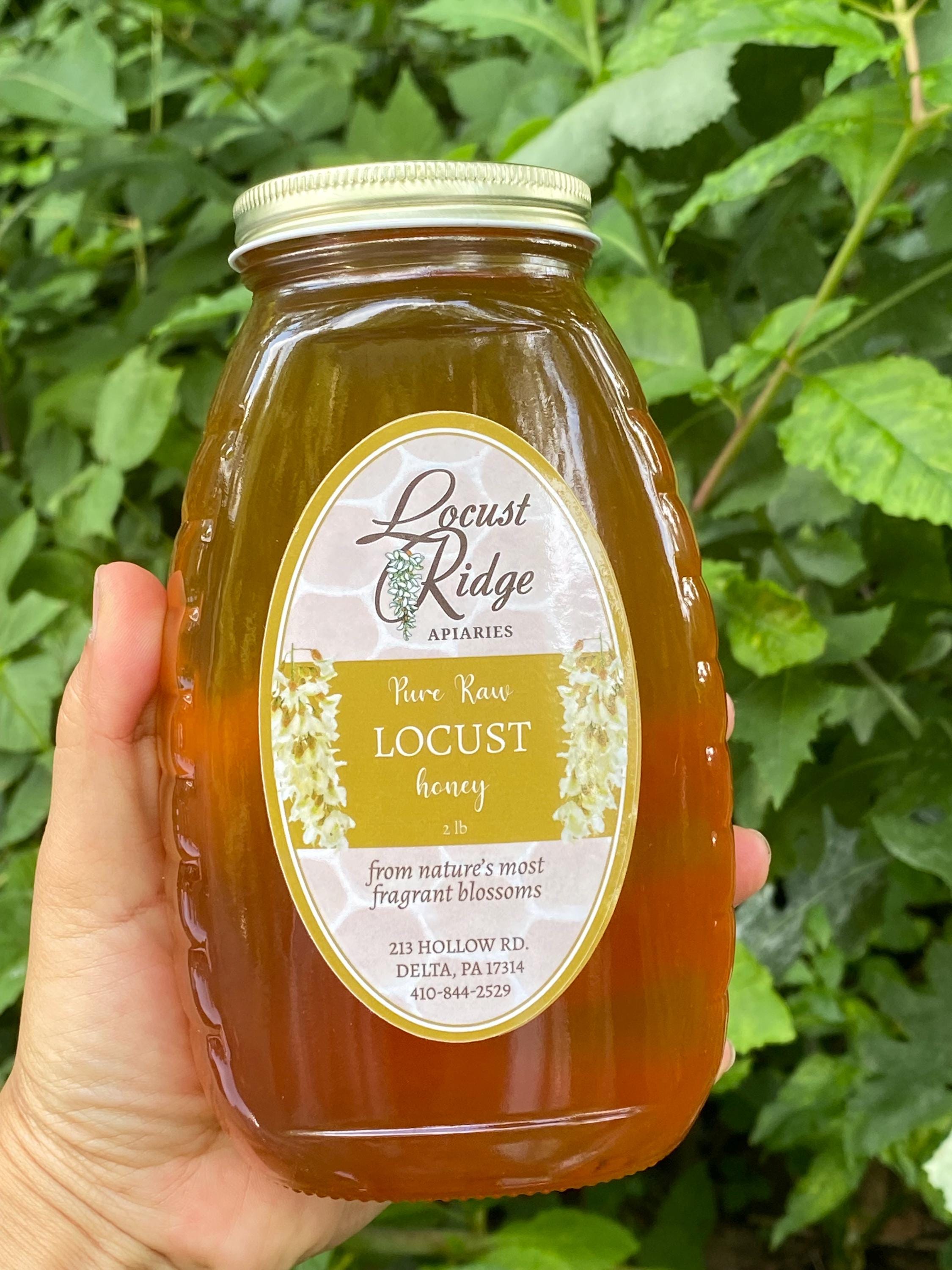 Pure Raw Unfiltered Locust Honey / Amish Local Honey / From Nature’s ...