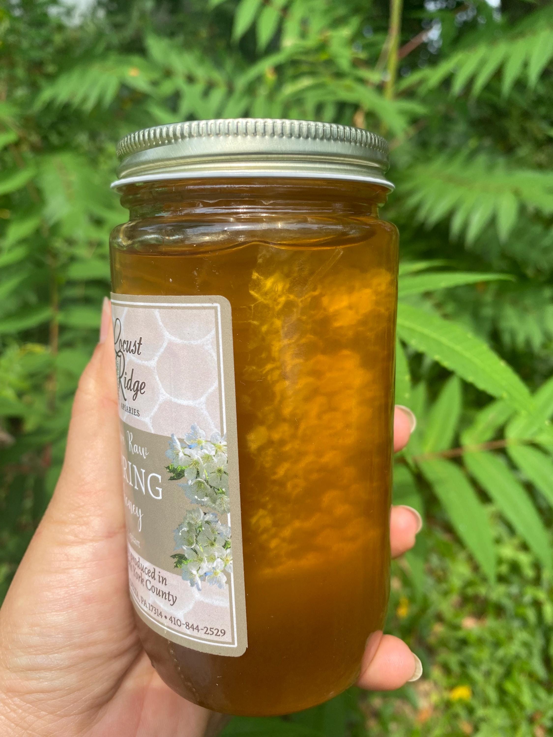 Pure Raw Local Honey With the Comb / Natural Fresh Honey / Spring Honey ...