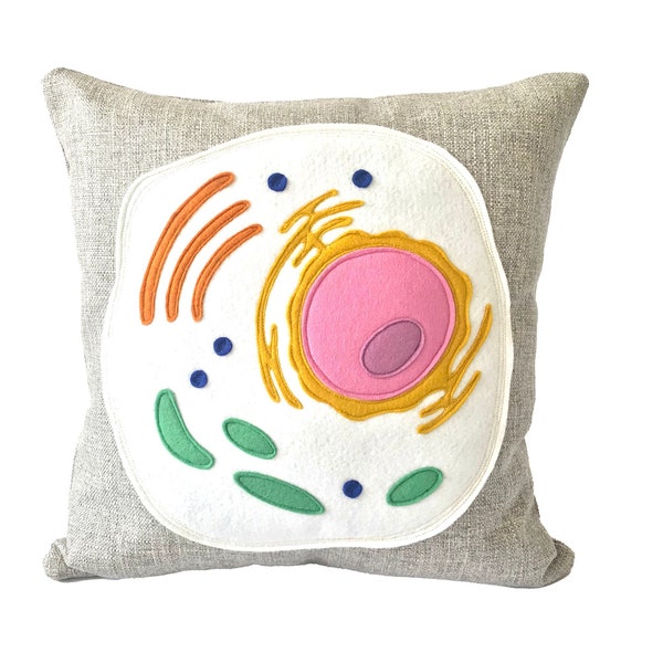 Science Pillow - Etsy