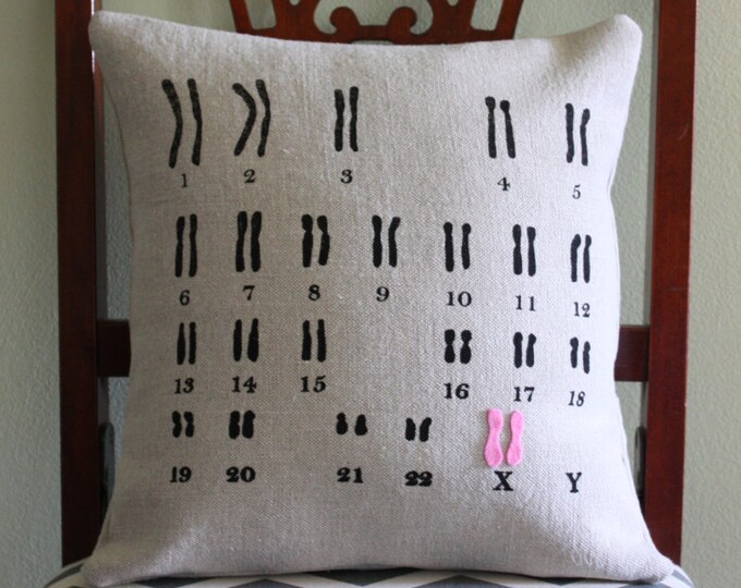 Karyotype Pillow // Chromosome // Gene // DNA // Science Pillow ...