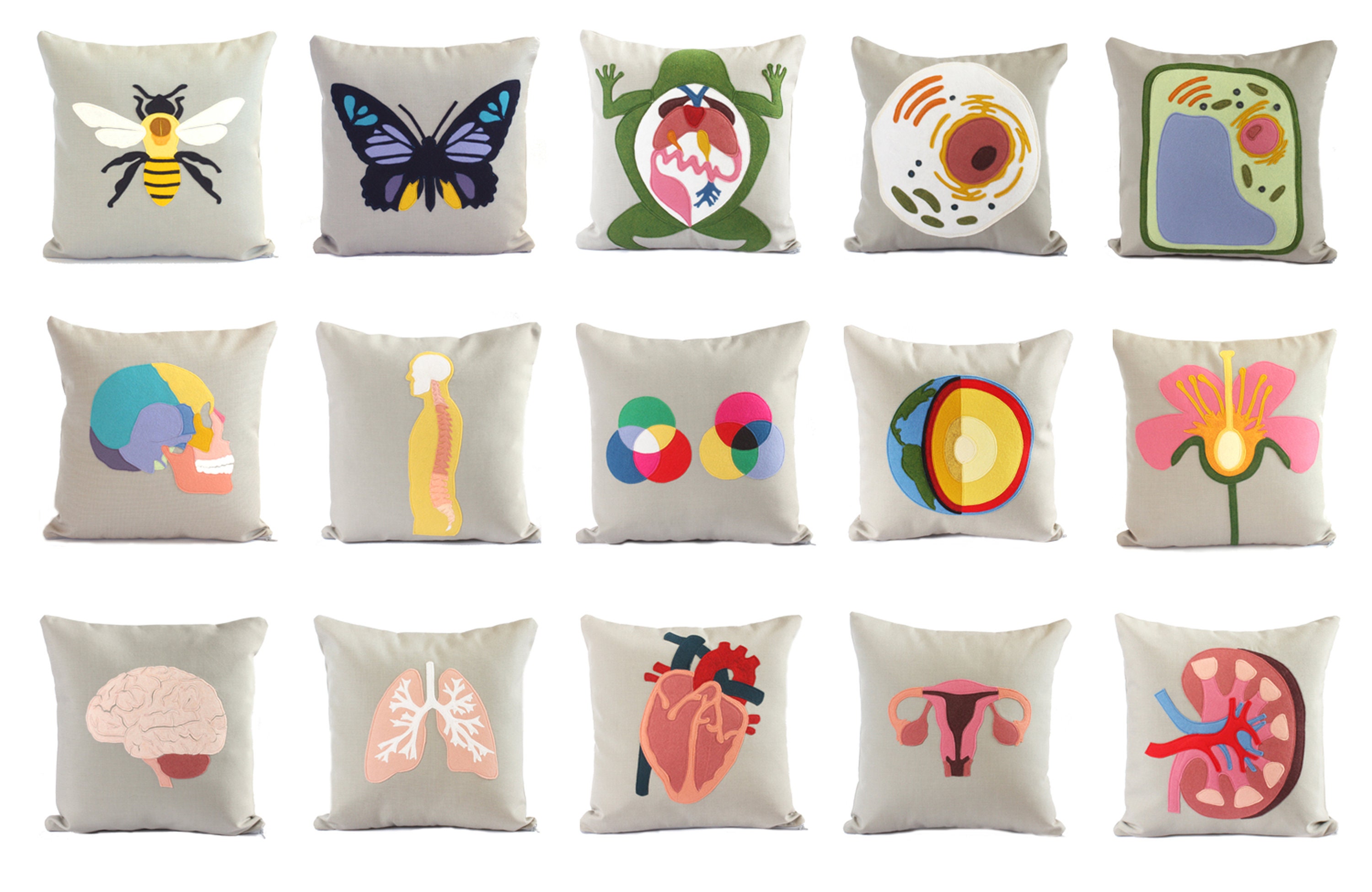 Science Diagram Pillow Skull Pillow / Skull Decor / | Etsy