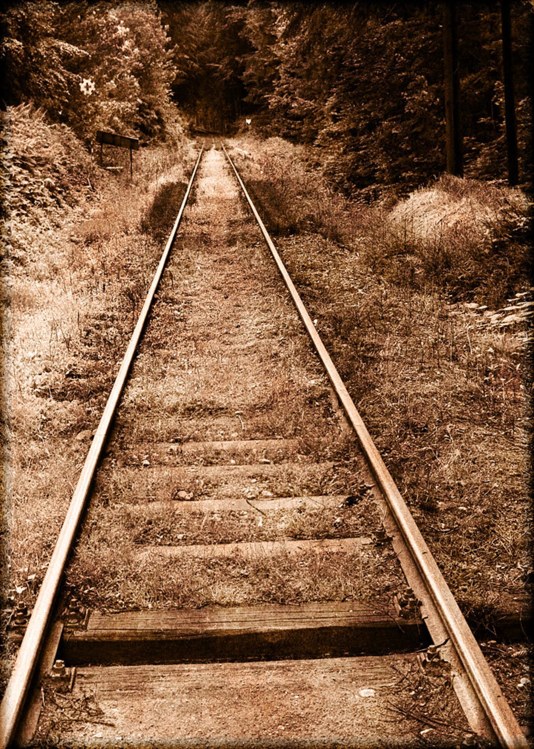 Tracks to Nowhere - 5x7 Print in 8x10 Mat, Vintage Look Photograph ...
