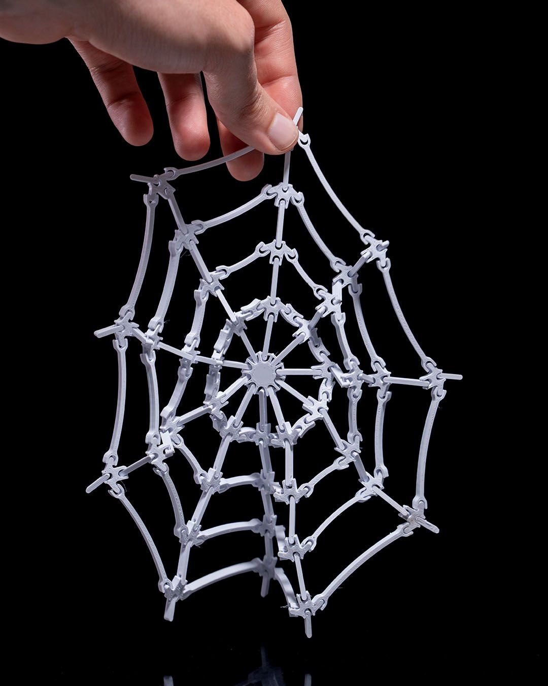 Spider Web Decoration 3D Printed custom Colors Articulated Gift - Etsy