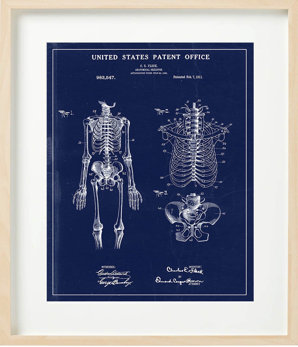 ANATOMICAL SKELETON 1911 Patent Print Medical Anatomy - Etsy