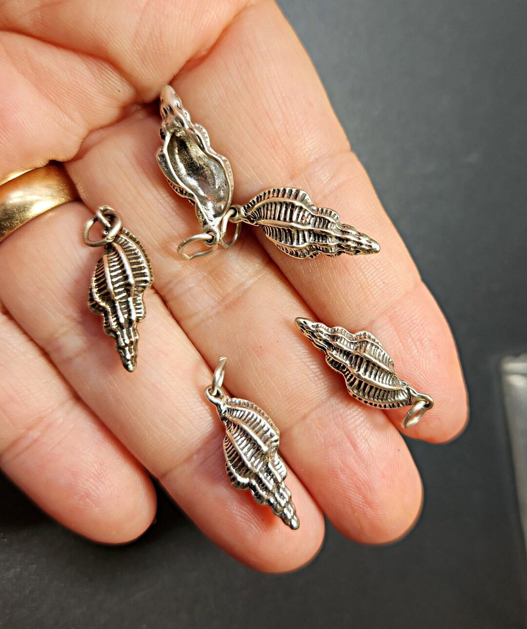 Sterling Silver Conch Shell Charm, Sea Shell Charm, Florida Horse Conch ...