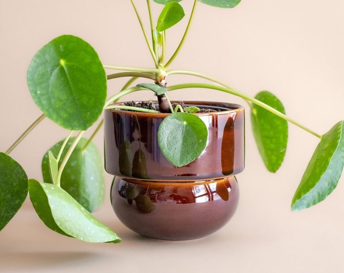 Ceramic Planter, Handmade Pot, Vintage Boho Flower Pot, Honey - Etsy