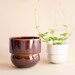 Small and Large Pot, Set of 2 Flower Pots, Mini Succulent Pot, Cactus ...