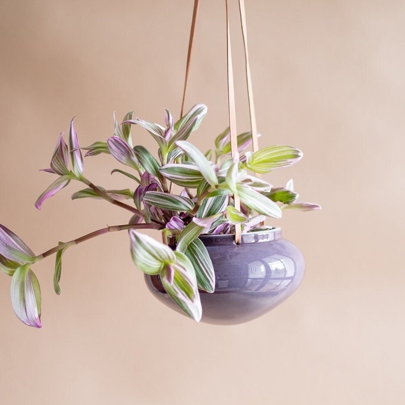 Ceramic Hanging Planter - Etsy