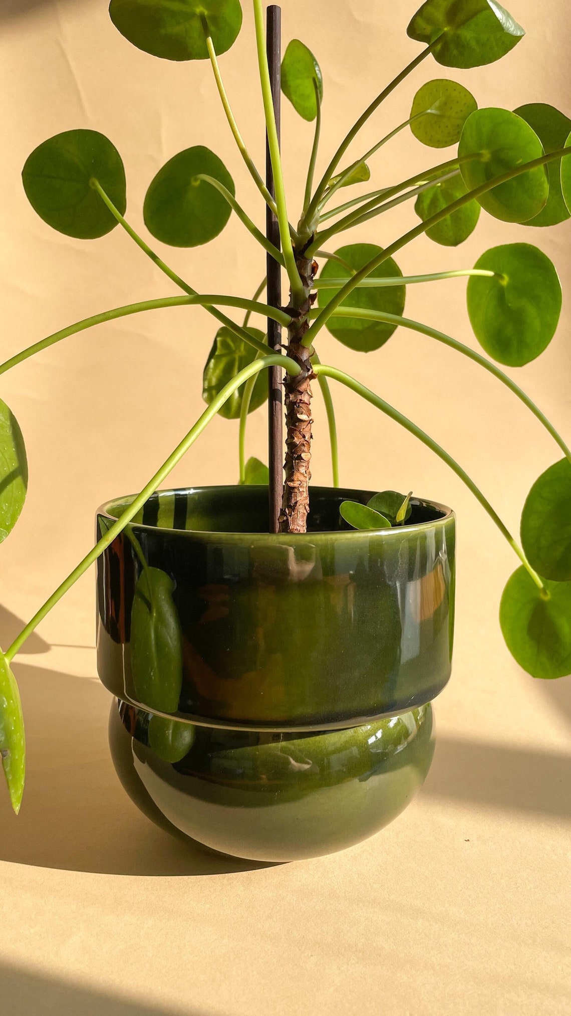Ceramic Planter, Handmade Pot, Vintage Boho Flower Pot, GREEN - Etsy