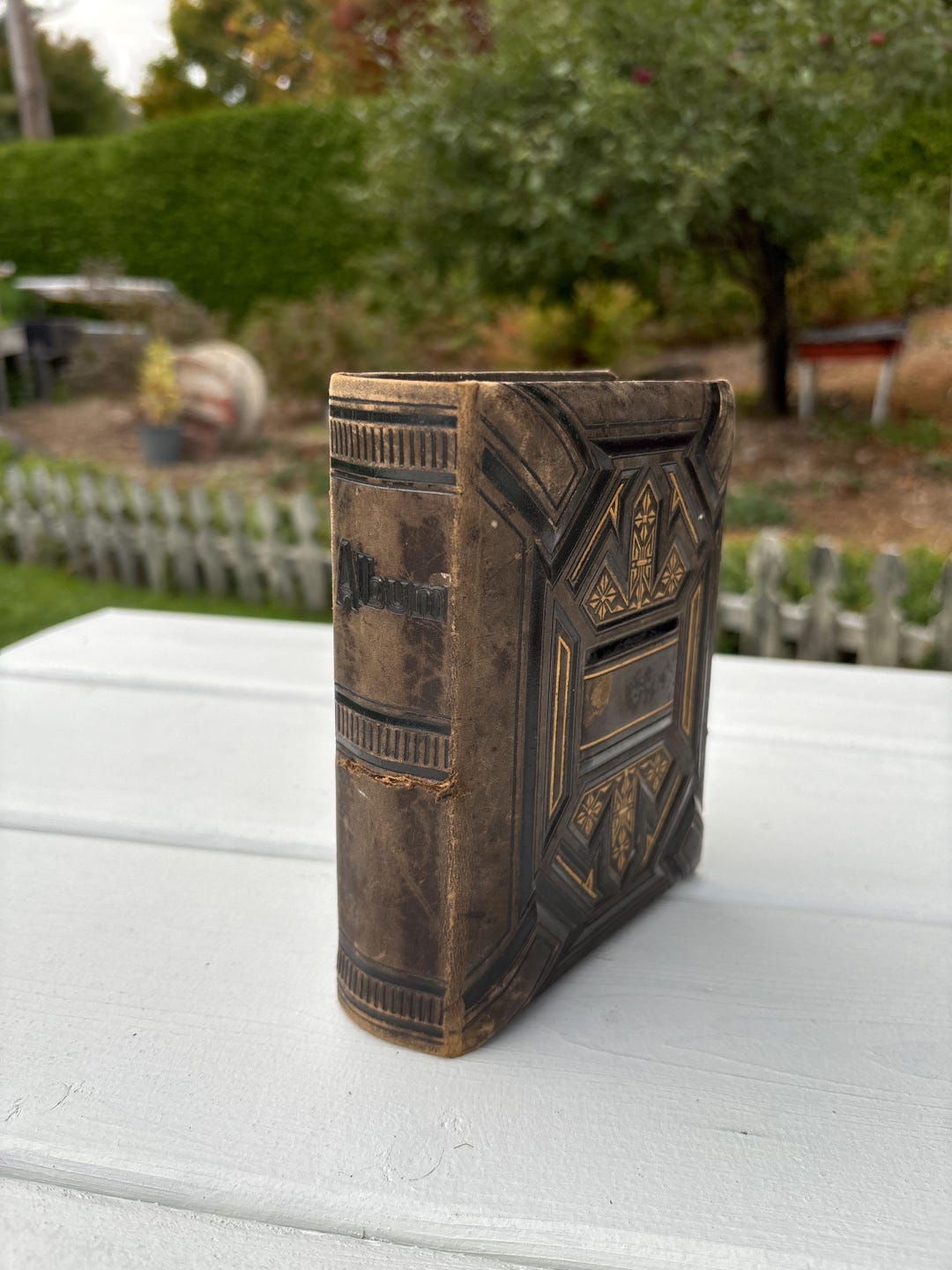 Vintage Photo Album - Before the 1900s. - Etsy