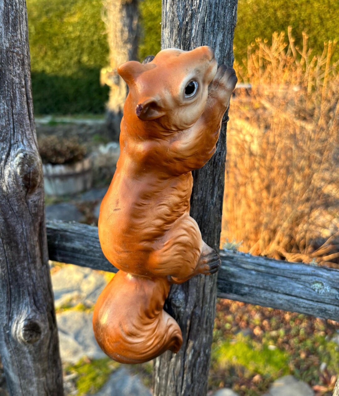 Mid Century Ceramic Squirrel Wall Hanging Climber Japan. - Etsy