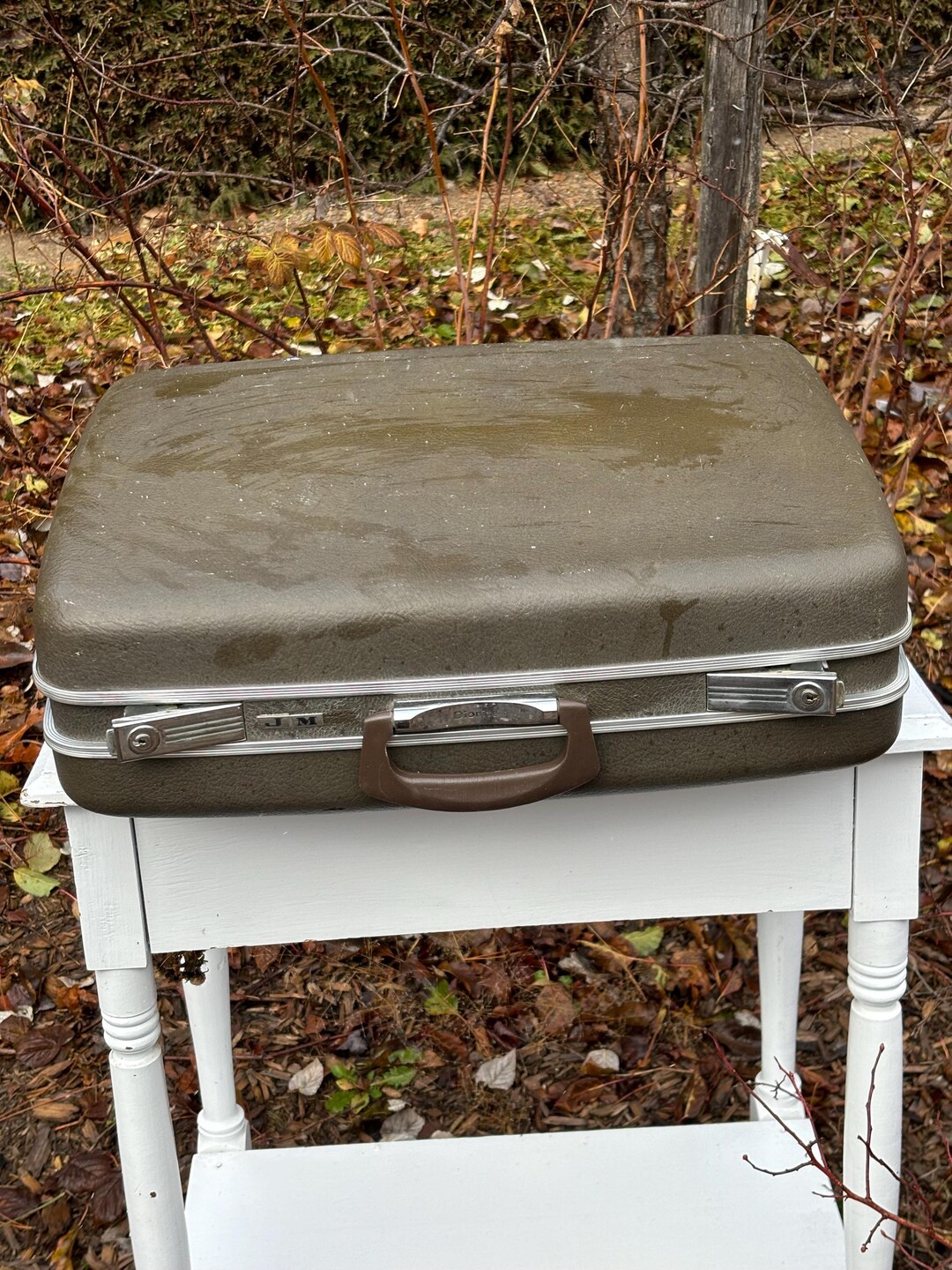 Dark/green Rigid Suitcase With Storage Divider and Support. Dionite ...