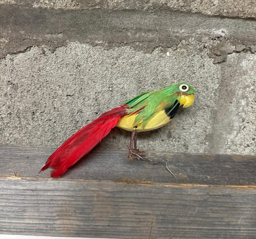 Artificial Parrot Made With Real Parrot Feathers. Japan. - Etsy