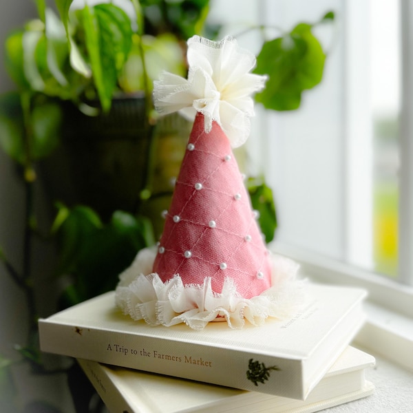 Adult Homemade Party Hat - Etsy