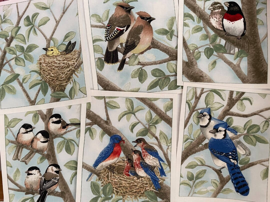 3 Assorted Large Beautiful Bird Patches - Iron on Fabric Appliques ...