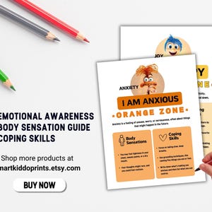 Inside Out 2 Zones of Regulation Poster Emotional Awareness Coping ...