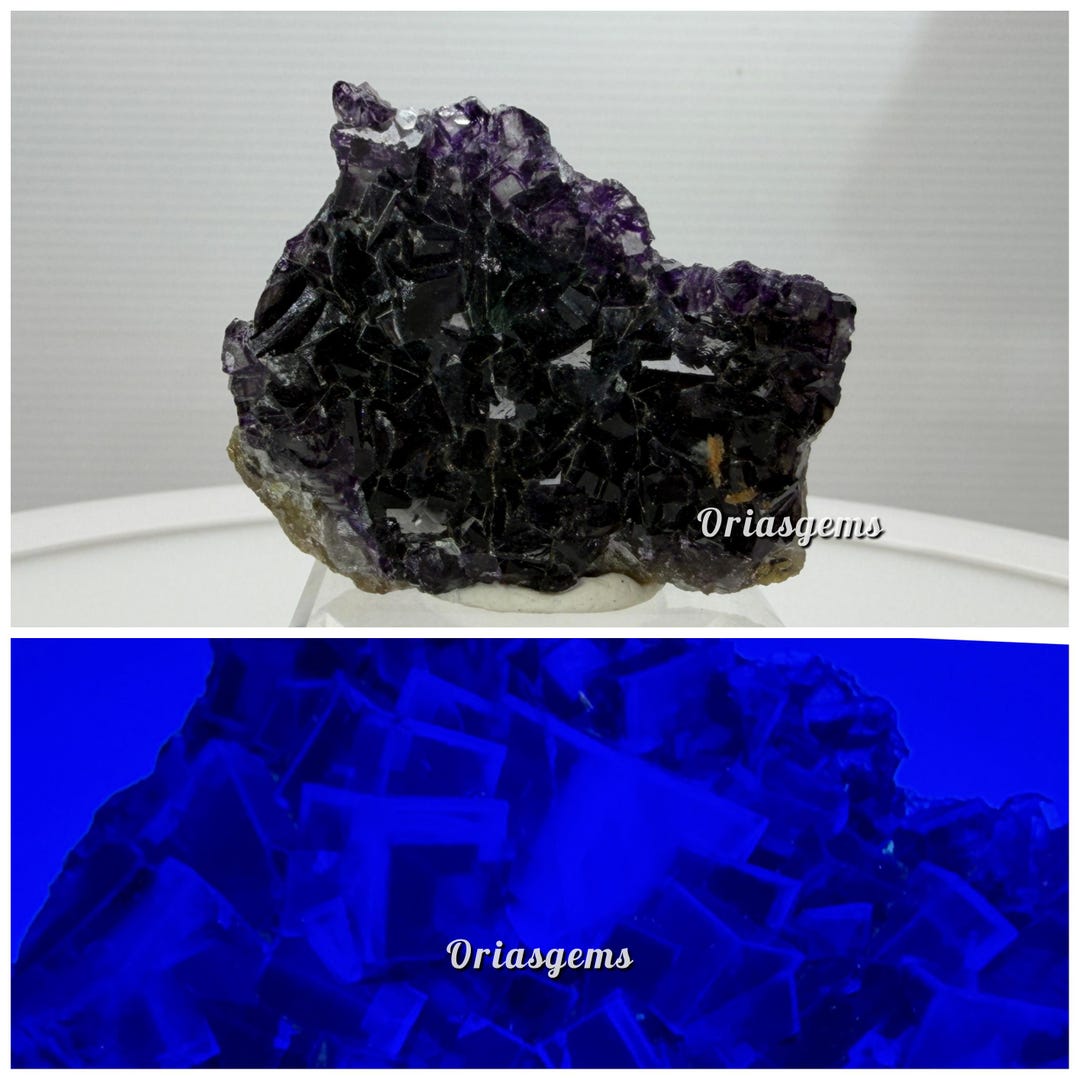 Purple Phantom Fluorite Crystal Blue Glow in the Dark Fluorescence ...