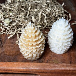 Pinecone Candle, 2ct, Fall Home Decor, Pillar Soy Candle, Decorative ...
