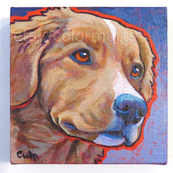 colormutts - Etsy