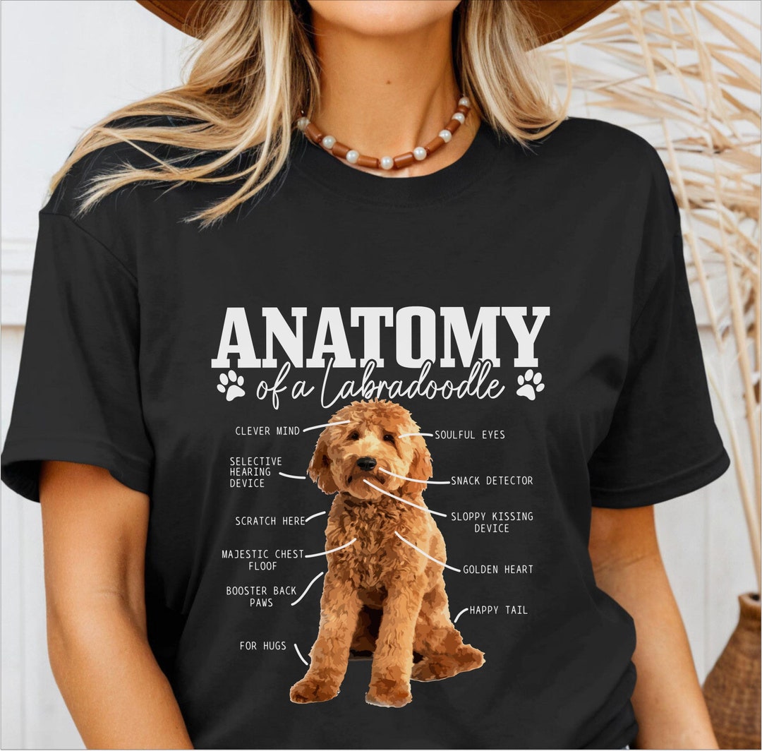 Labradoodle Shirt Anatomy of A Labradoodle Tshirt Funny Labradoodle Dog ...